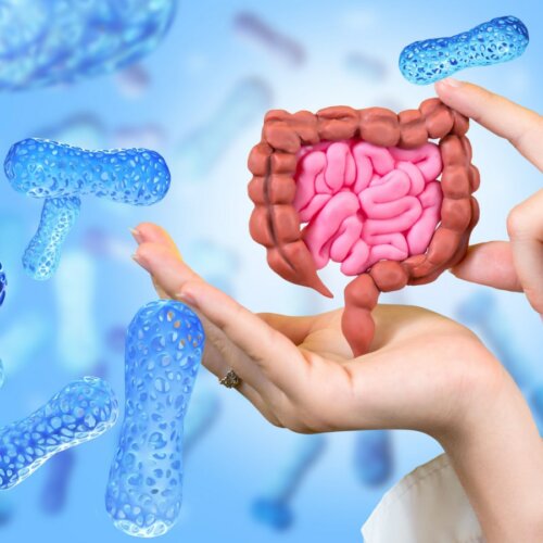 Bloody Mucus in Stool. Causes and Concerns | The IBS & Gut Health Clinic