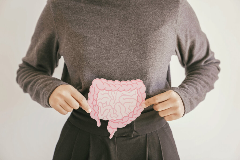 What is Leaky Gut and do you Have It? | The IBS & Gut Health Clinic