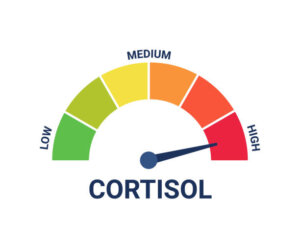 Cortisol and Its Impact on Gut Health | The IBS & Gut Health Clinic